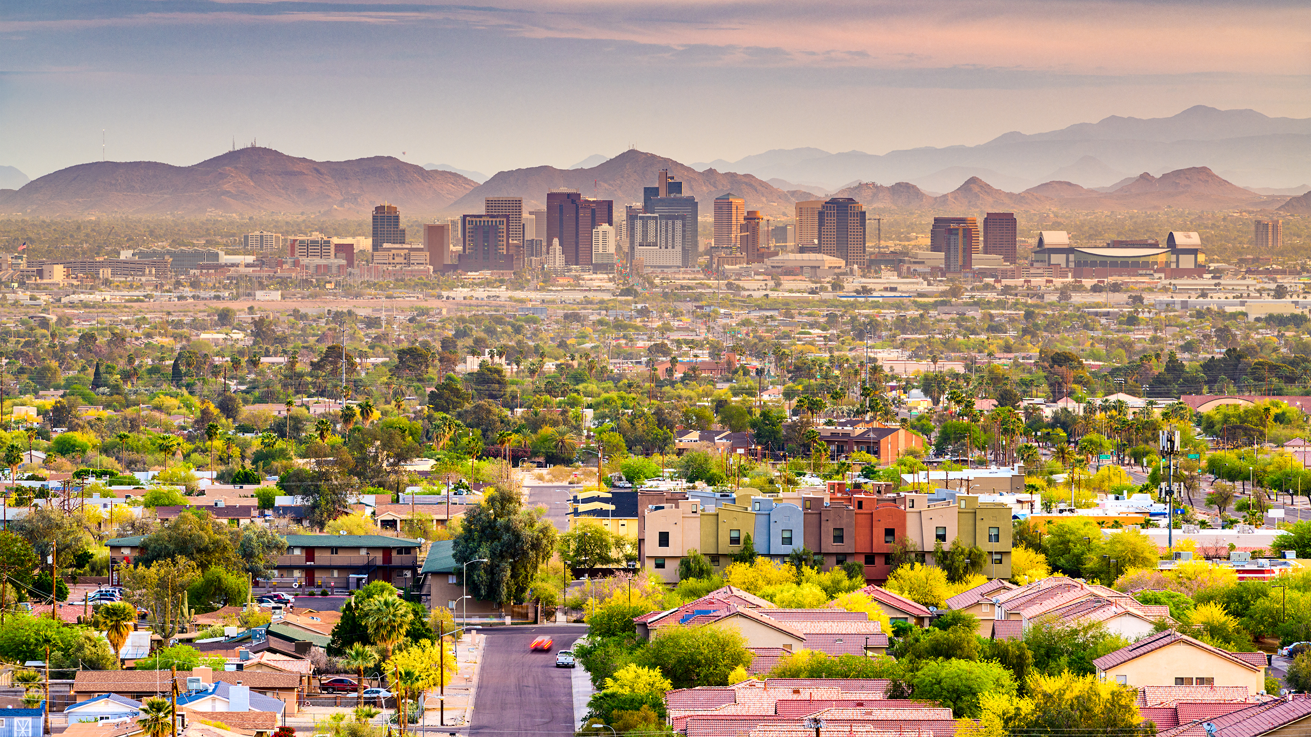 Local Experts Answer: Why Are People Still Moving to Phoenix? - Ten Across