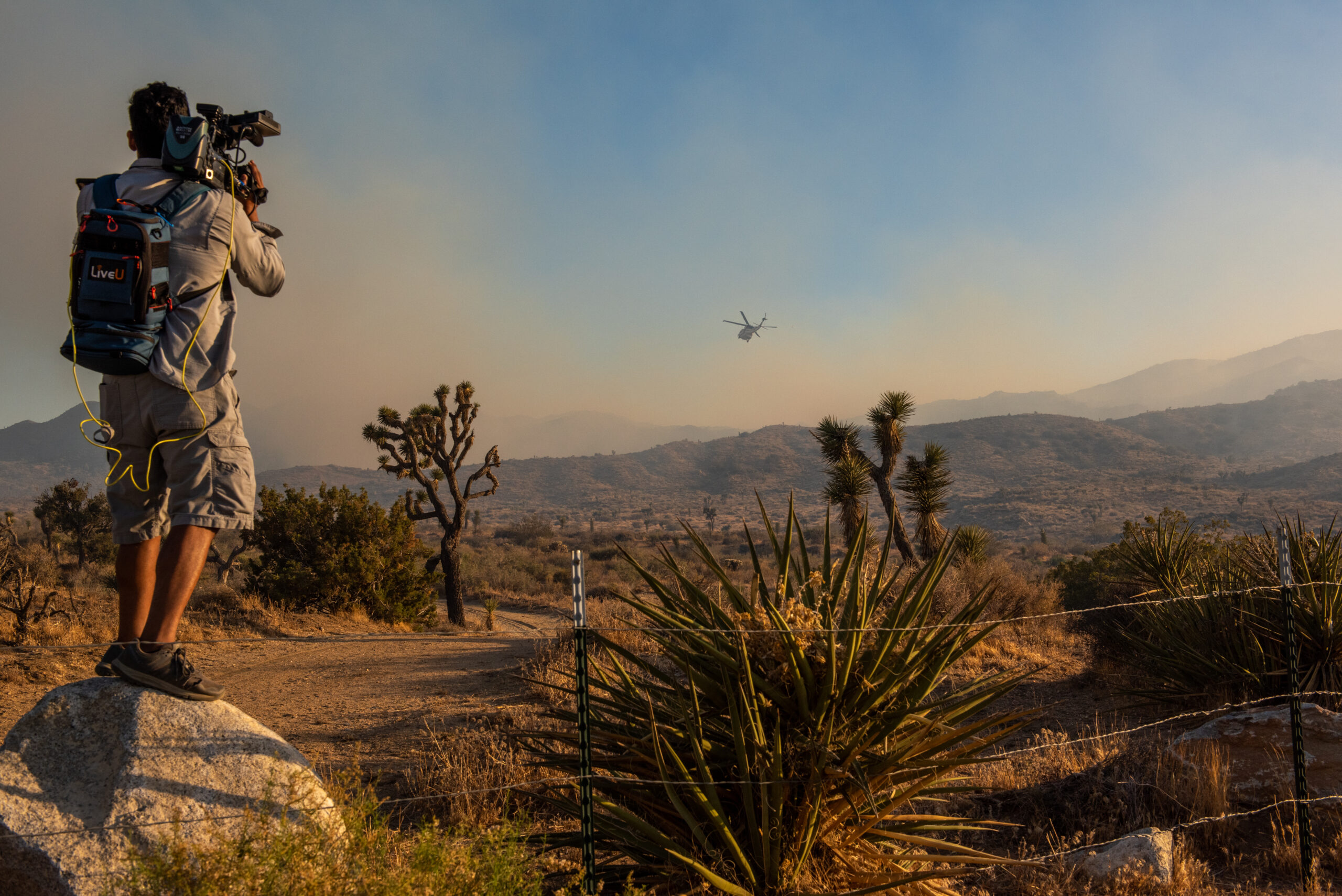 Past, Present, and Future Climate Reporting with NPR's Sadie Babits ...